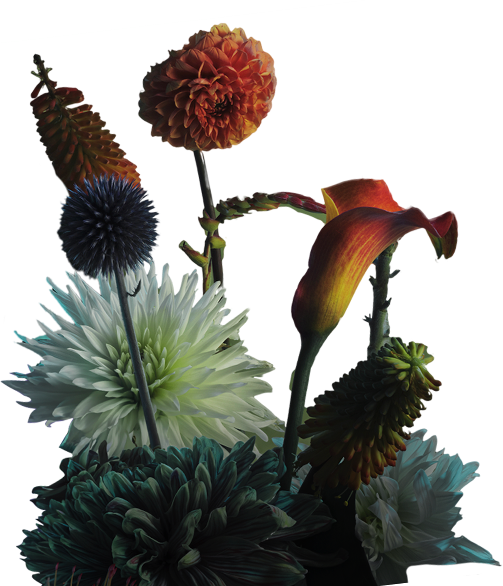 Paradise Garden Jean Paul Gaultier